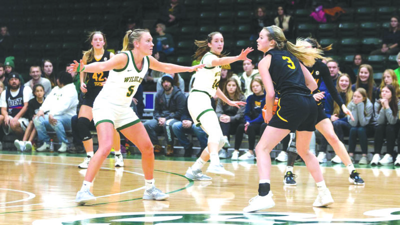 Northern Michigan University women’s basketball team loses 80-68 at ...